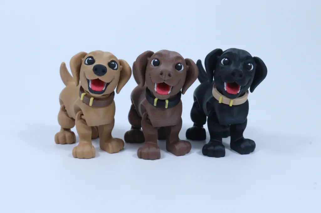 MrSpinner Labrador Retriever