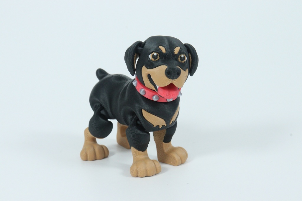 MrSpinner Rottweiler