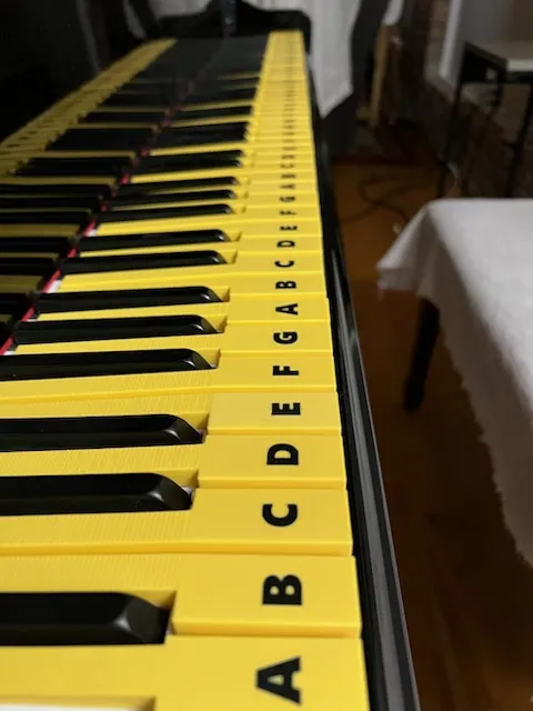 Piano Training Keys | MrSpinner Toys